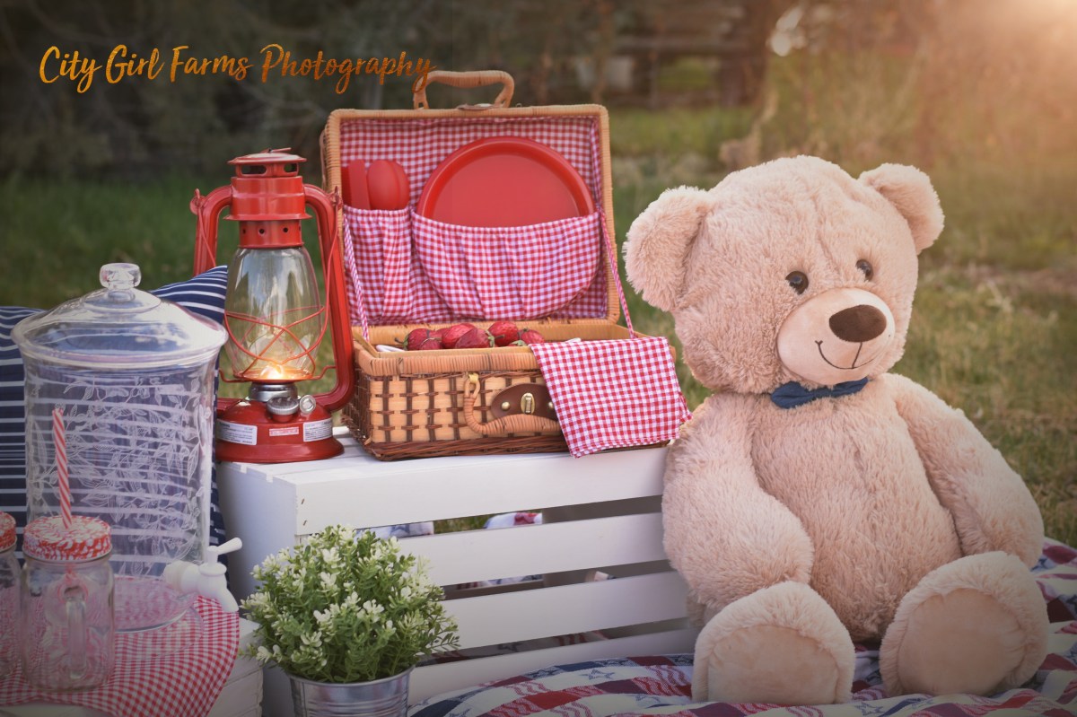 “Picnic Mini Sessions” – City Girl Farms Photography