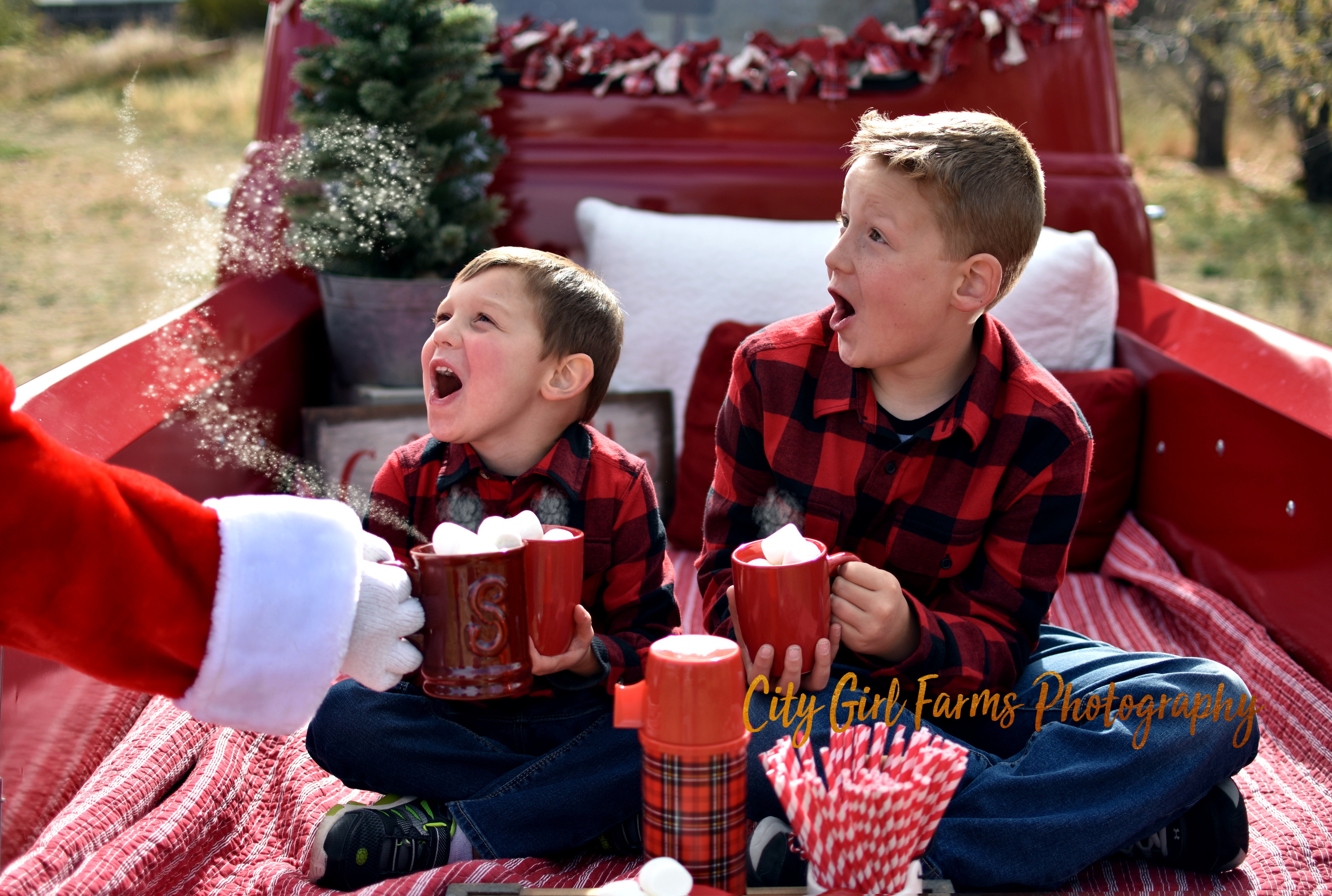 Christmas Magic – City Girl Farms Photography