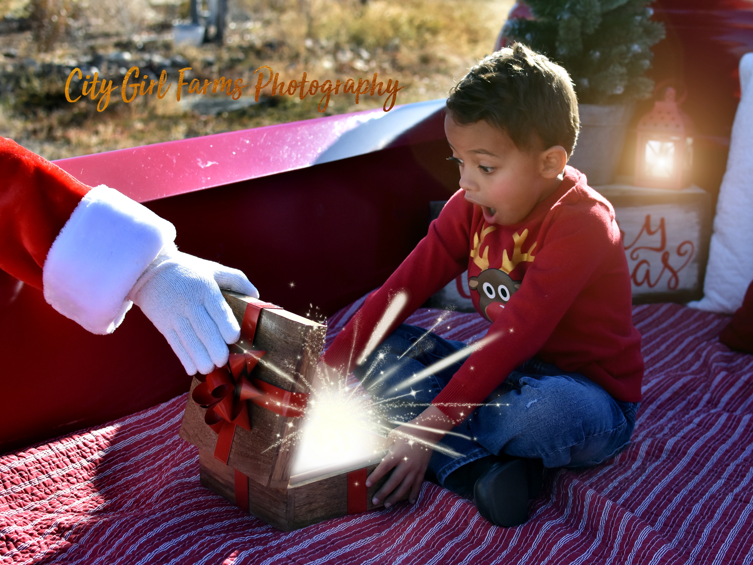 Surprise! – City Girl Farms Photography