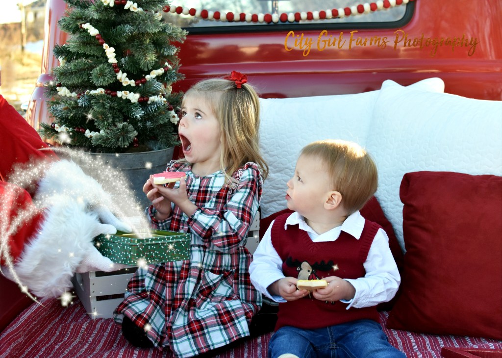 Merry Christmas – Plus One – City Girl Farms Photography